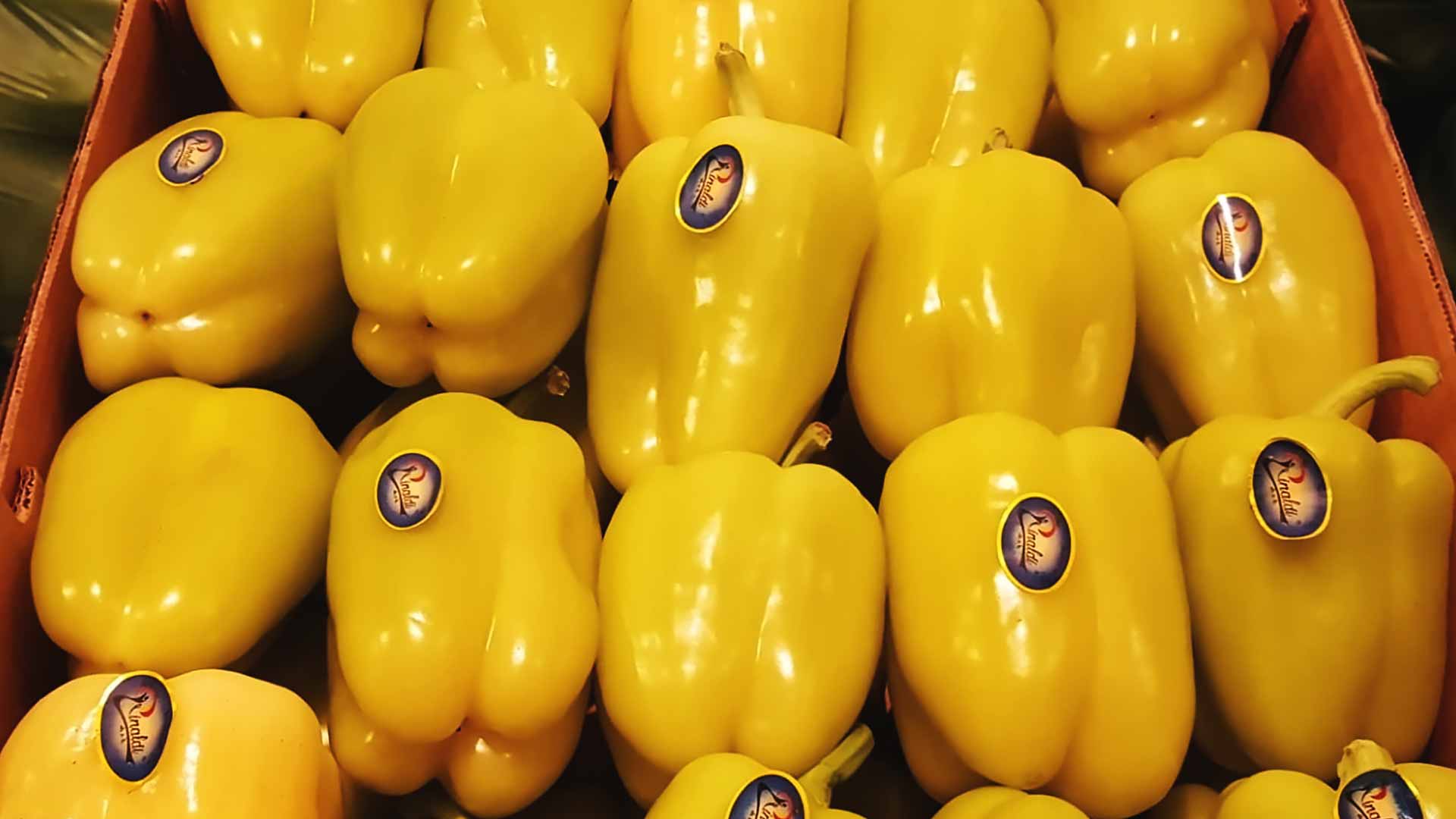 Rinaldi L.T.D- Fruit and Vegetables Export from Albania – Rinaldi L.T.D ...